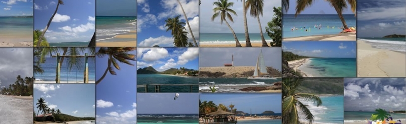 Martinique Madinina île aux fleurs